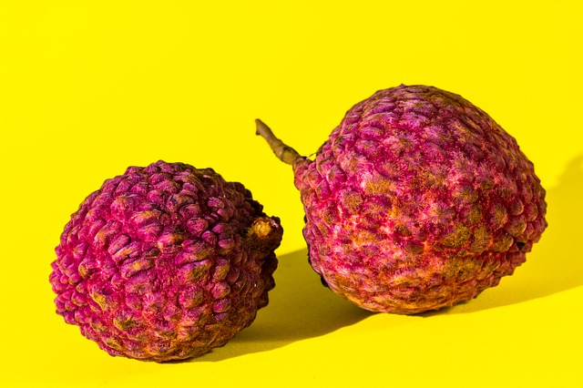 Growing Lychee Fruits - How to Do It in a Couple of Simple Steps ...